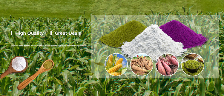 Modified Starch – JoinedFortune